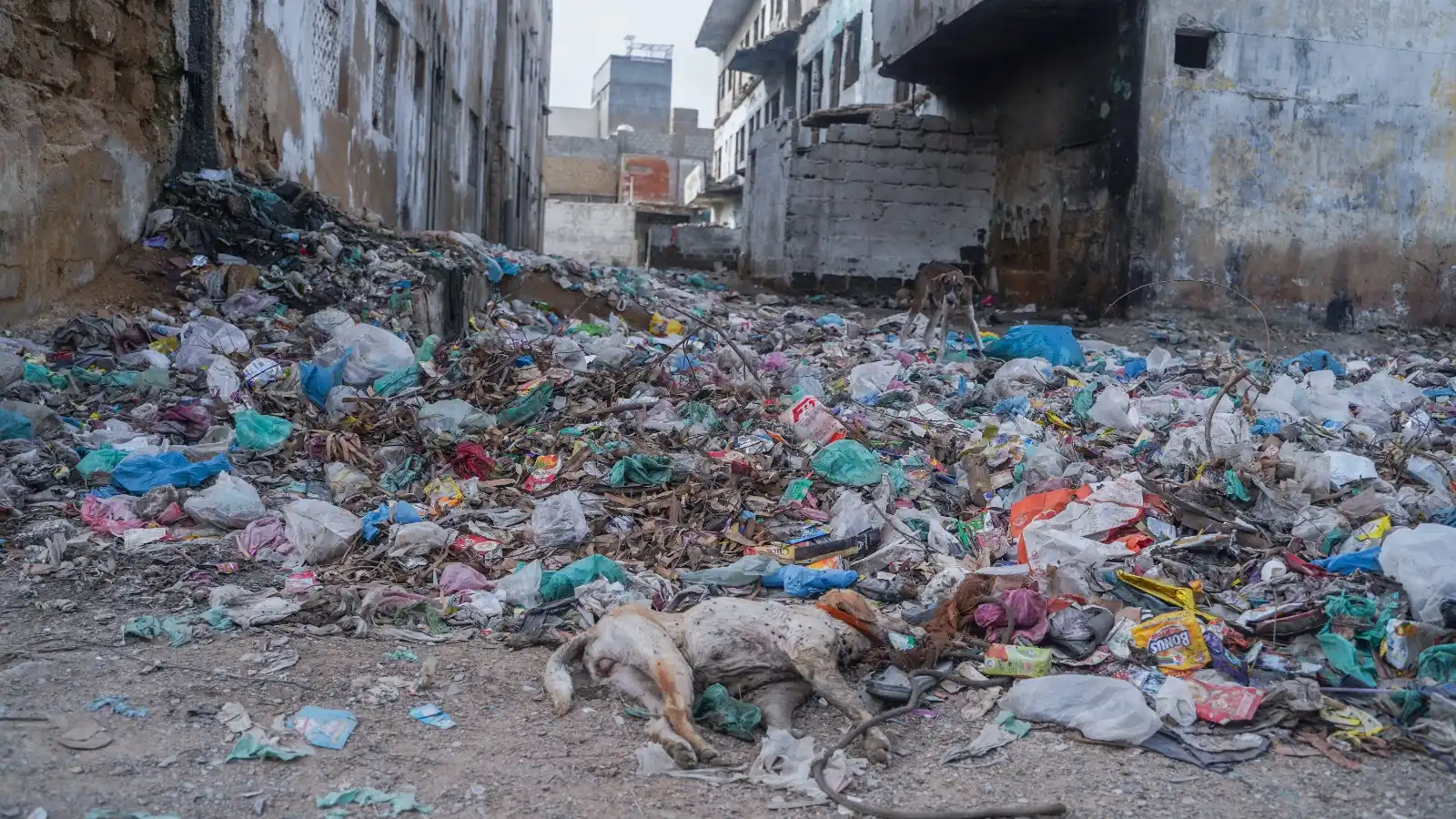 Musharraf Colony – Mapping Displacement